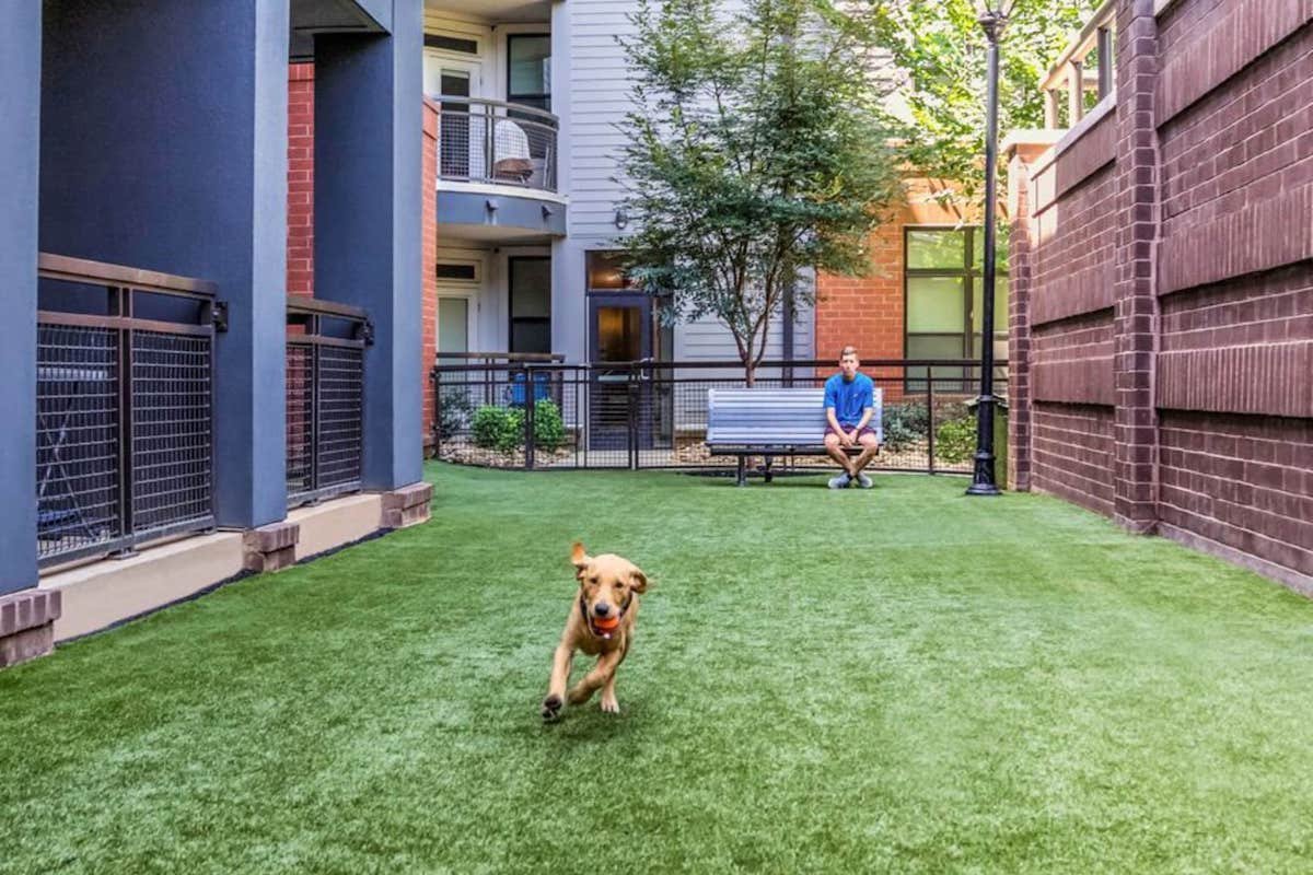 Tidy Tails Waste Solutions - Dog Poop Removal Service in Atlanta, GA